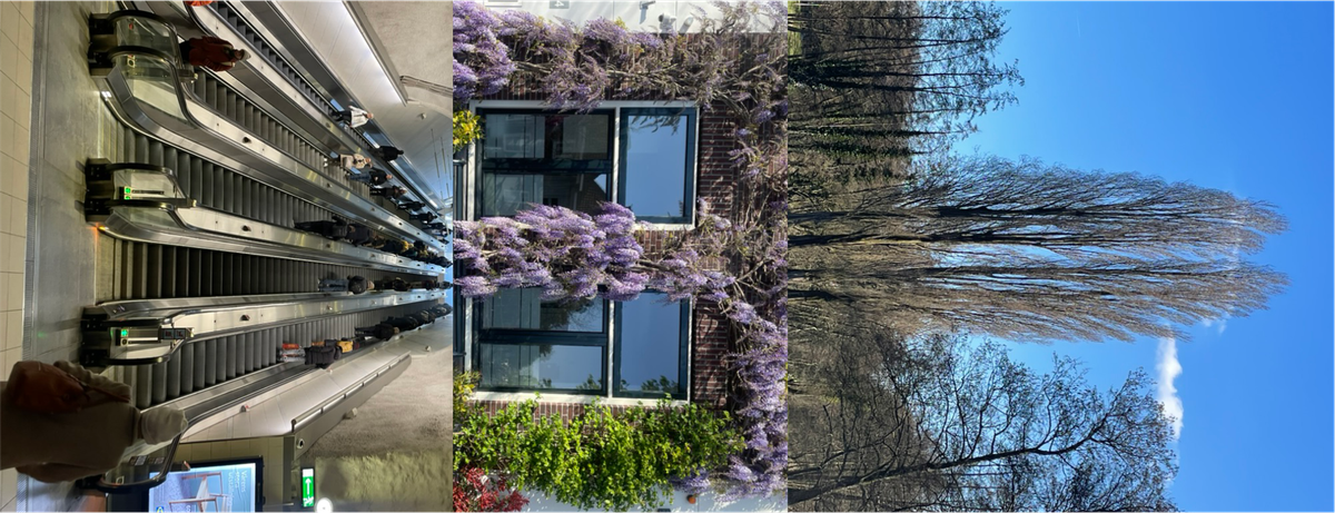 Zero Stimulation Rest